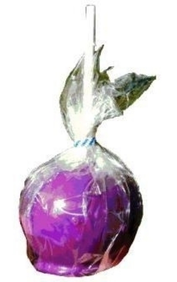 Candy Apple Magic Assorted Colors