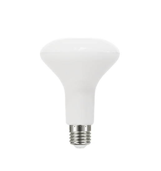 Light Bulb 65 watt Shatterproof