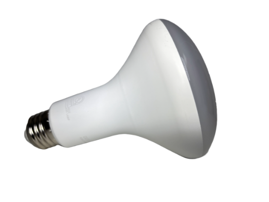 Light Bulb 65 watt Shatterproof
